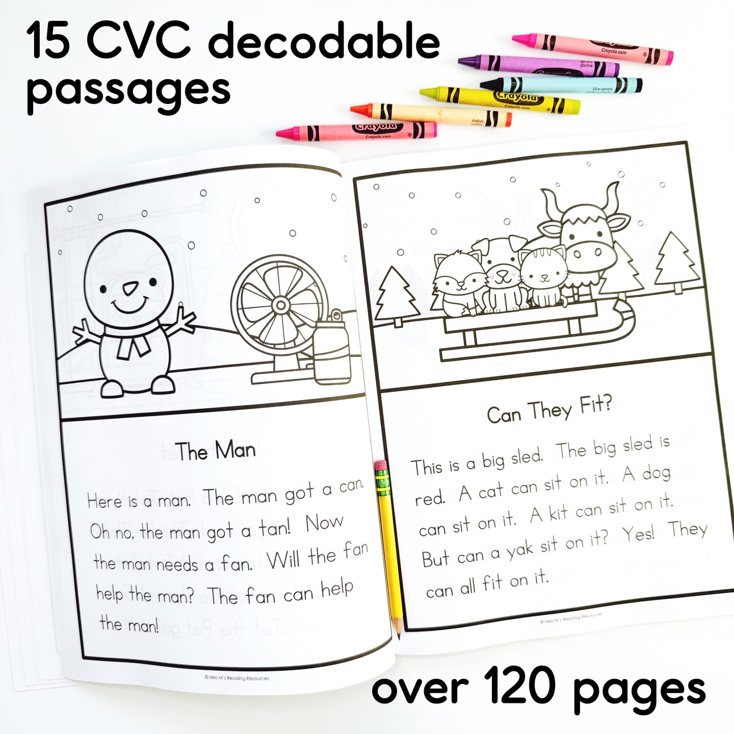 Miss M's Reading Resources... - Miss M's Reading Resources
