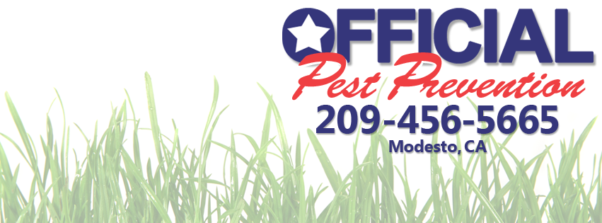 Official Pest Control Modesto Home Facebook 9127