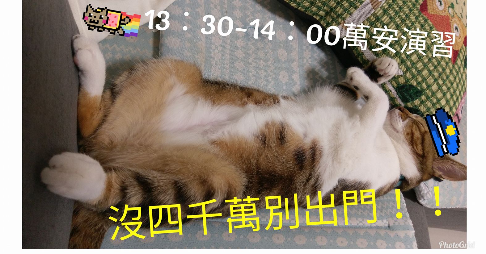 潔麗貓丸ジェーリマル 台中萬安演習別亂趴趴走，會被罰錢的，學潔麗貓丸躺平就對了 ｡･ω･｡ ﾉ♡ Facebook