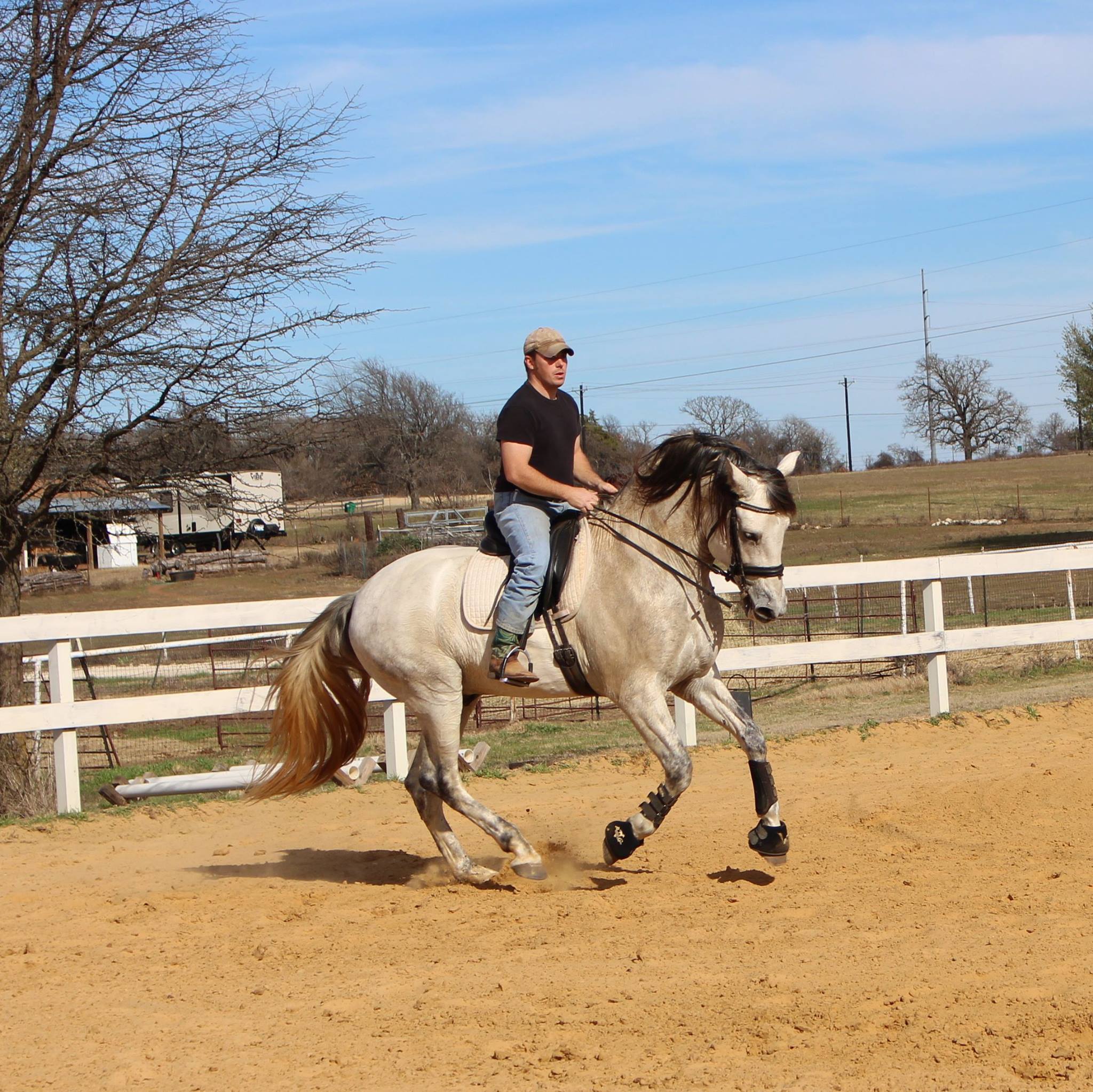 Bridled Passion Dressage Cleburne Tx