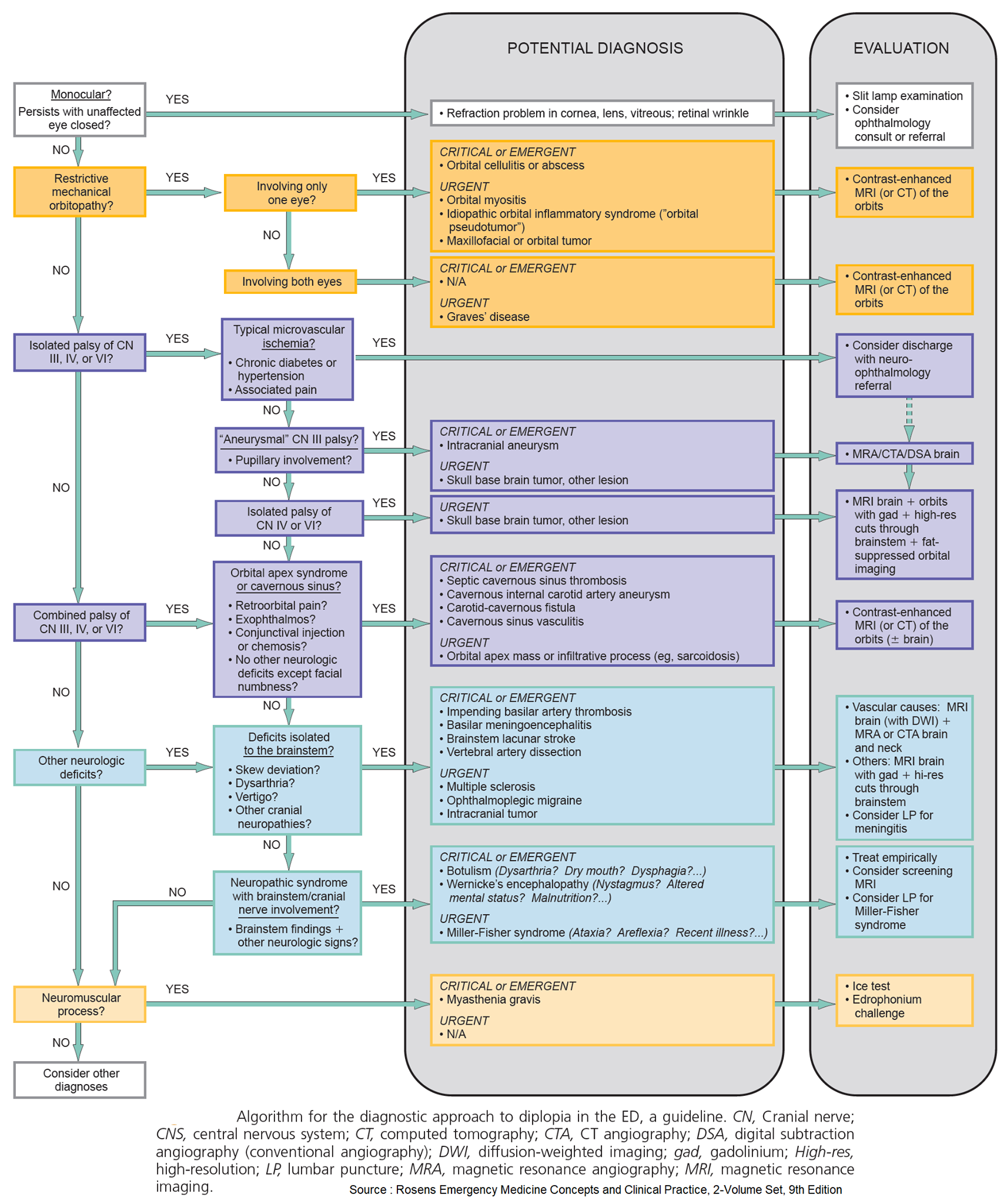🟪 Algorithm For Diplopia In The Ed 🟪 Manual Of Medicine