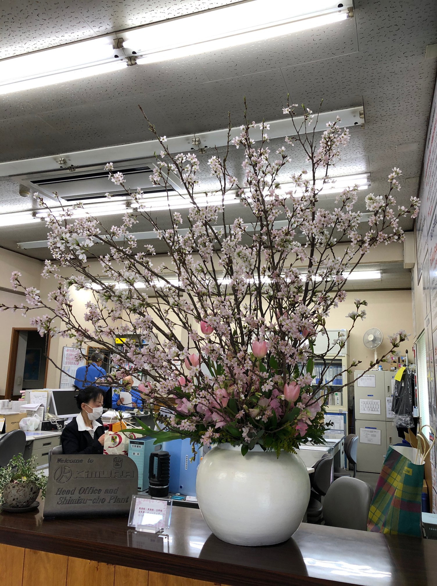 Beautiful Cherry Blossoms Sakura Kimura Foundry 木村鋳造所