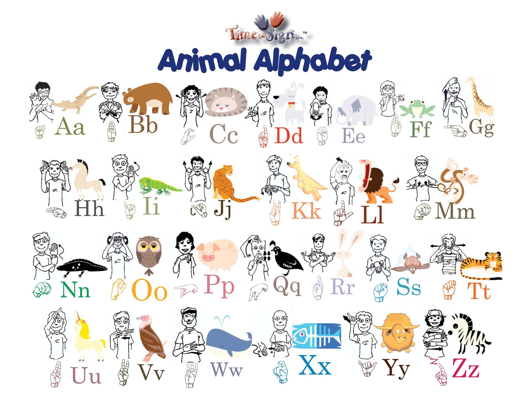 Time - 🐾 START THE YEAR RIGHT WITH ANIMAL ALPHABET BASICS! 🐾 New year ...