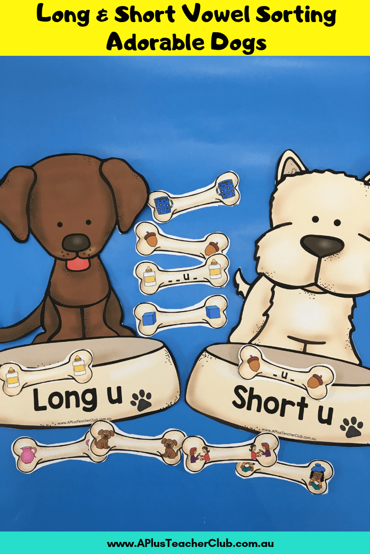 We are in LOVE with our newest... - A + Teaching Resources