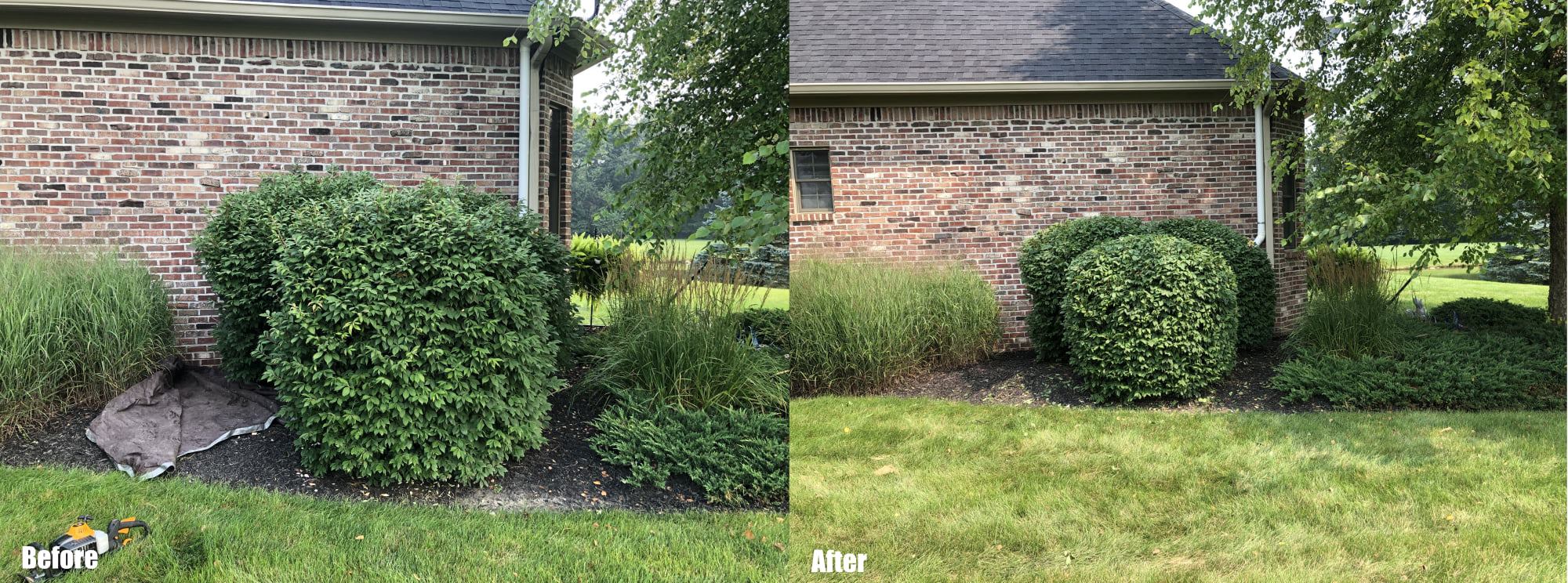 Solid Ground Solutions Llc 6952