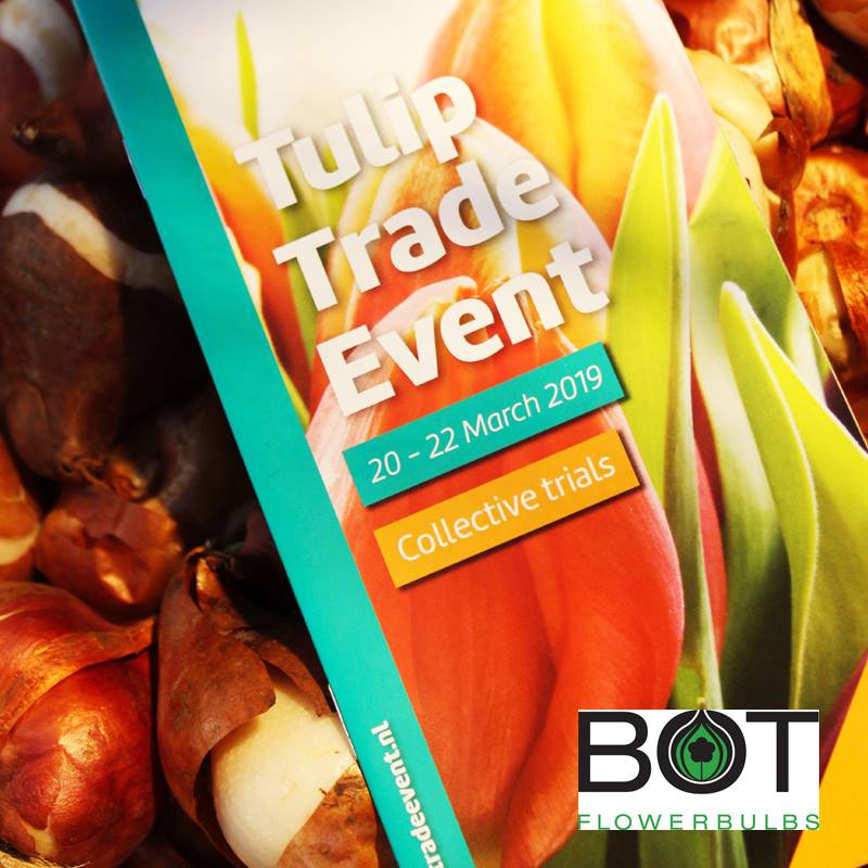 Bot Flowerbulbs Home Facebook