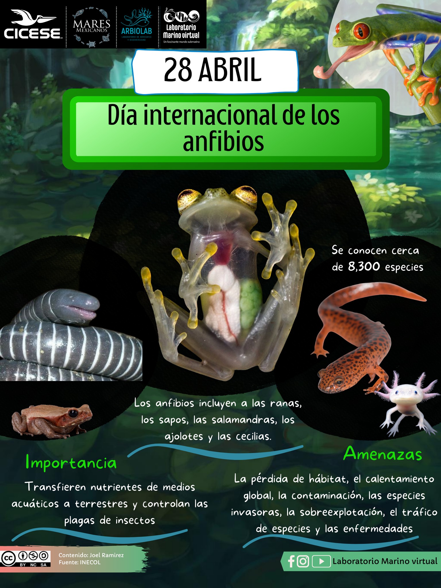 Hoy, 28 de abril, se celebra... - Laboratorio Marino virtual