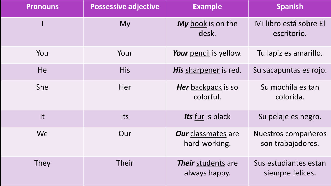 Aprende Fácil - Los adjetivos de posesión(possessive... | Facebook