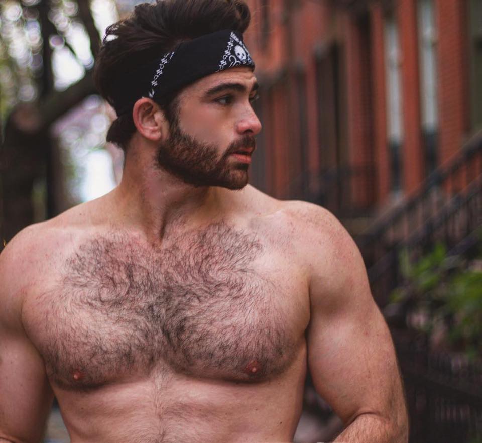 Alpha Hunk