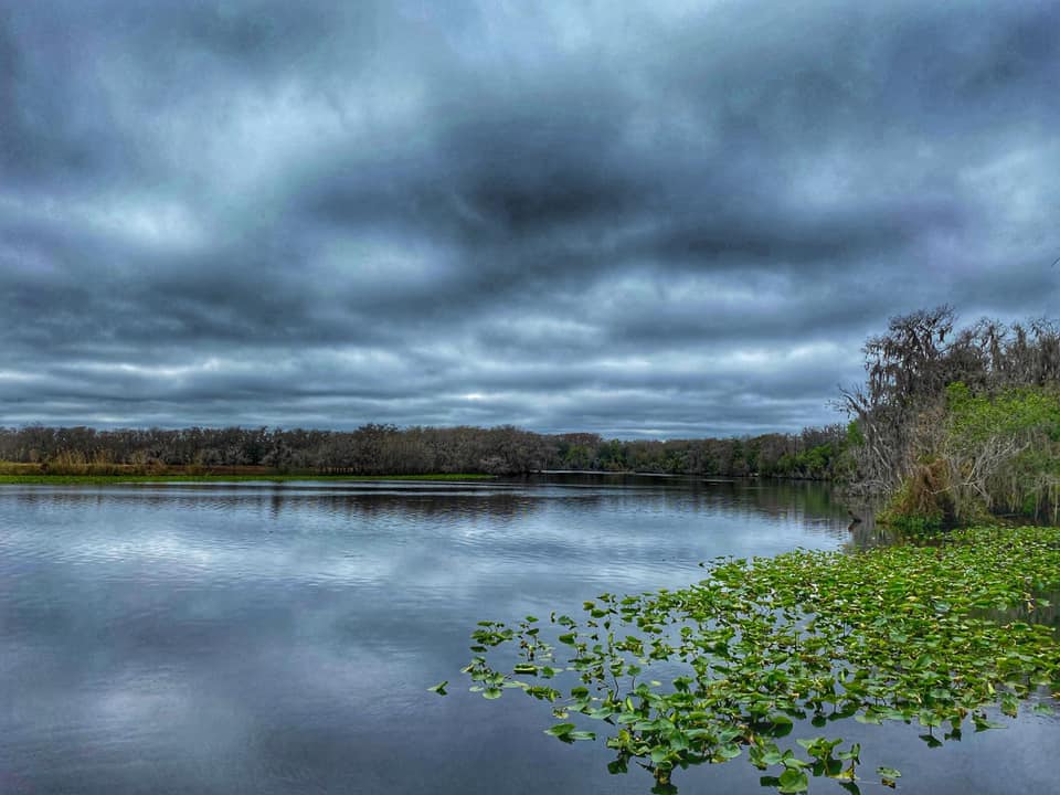 Elmer Holt Photography