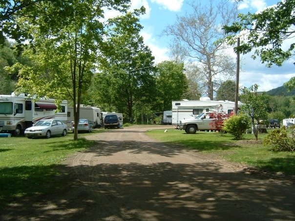 Butternut Grove Campsites