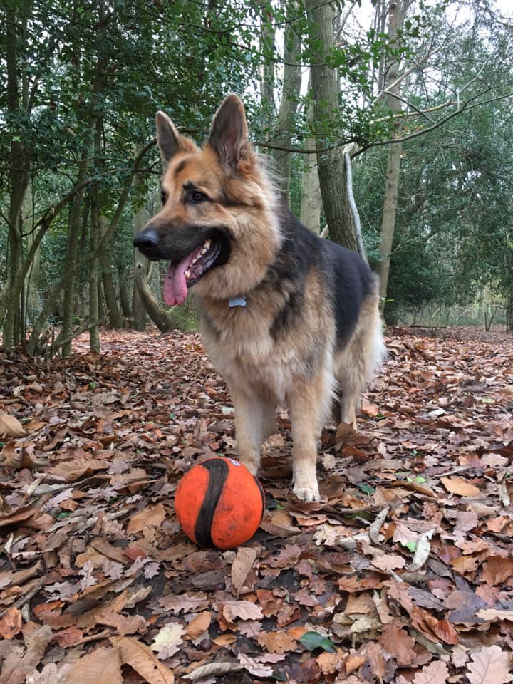 The Sand Pit Has Really Gone Muddy Boots N Furry Feet 6498
