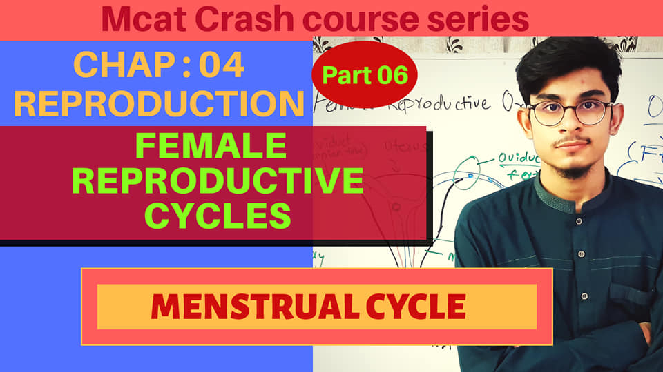 Chap 04 Reproduction Part 1 Conceptual Science Facebook