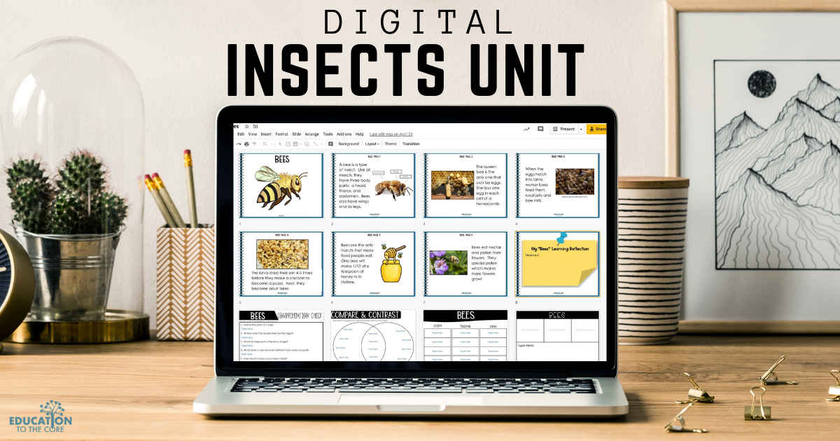 NEW INSECTS AND BUGS DIGITAL... - Education to the Core