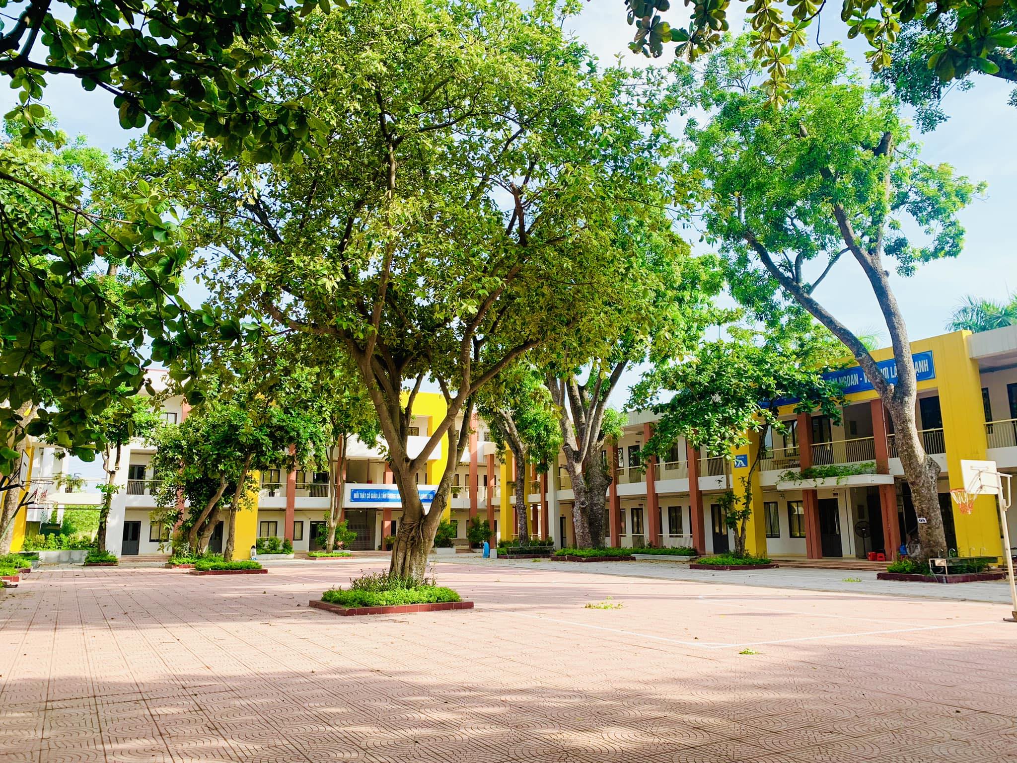 Trường Trường Thcs Nguyễn Huy Tưởng Đông Anh Hà Nội 8324