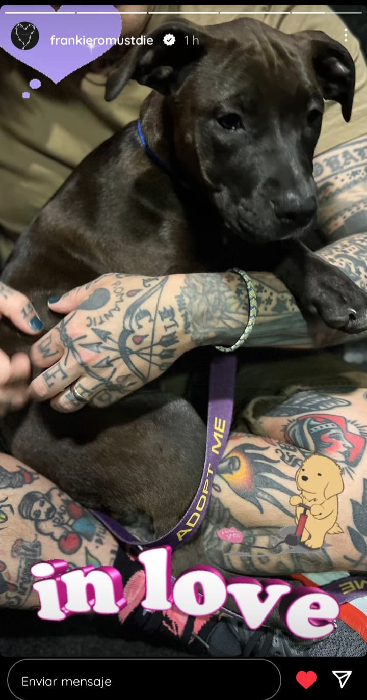 Mi Sassy Gee Parece Que Frank Tiene Un Nuevo Integrante 0157