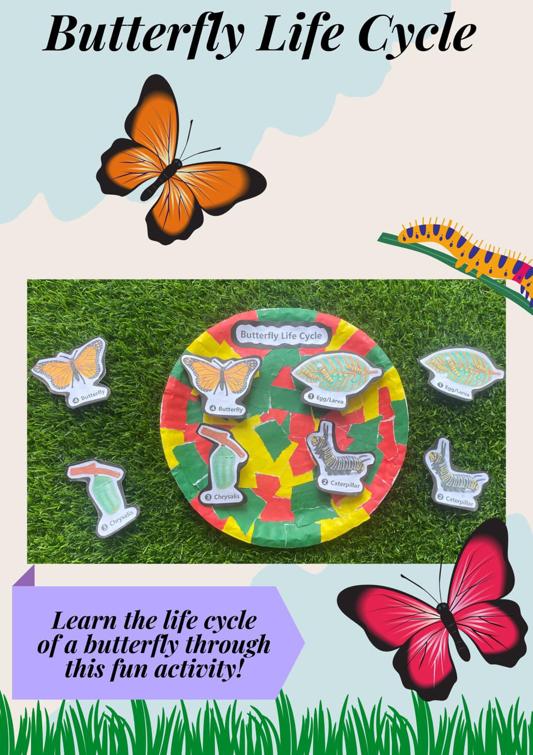 🥚🐛🦋🌺 Butterfly Life Cycle 🥚🦋🌼... - Montessori Play & Learn | Facebook