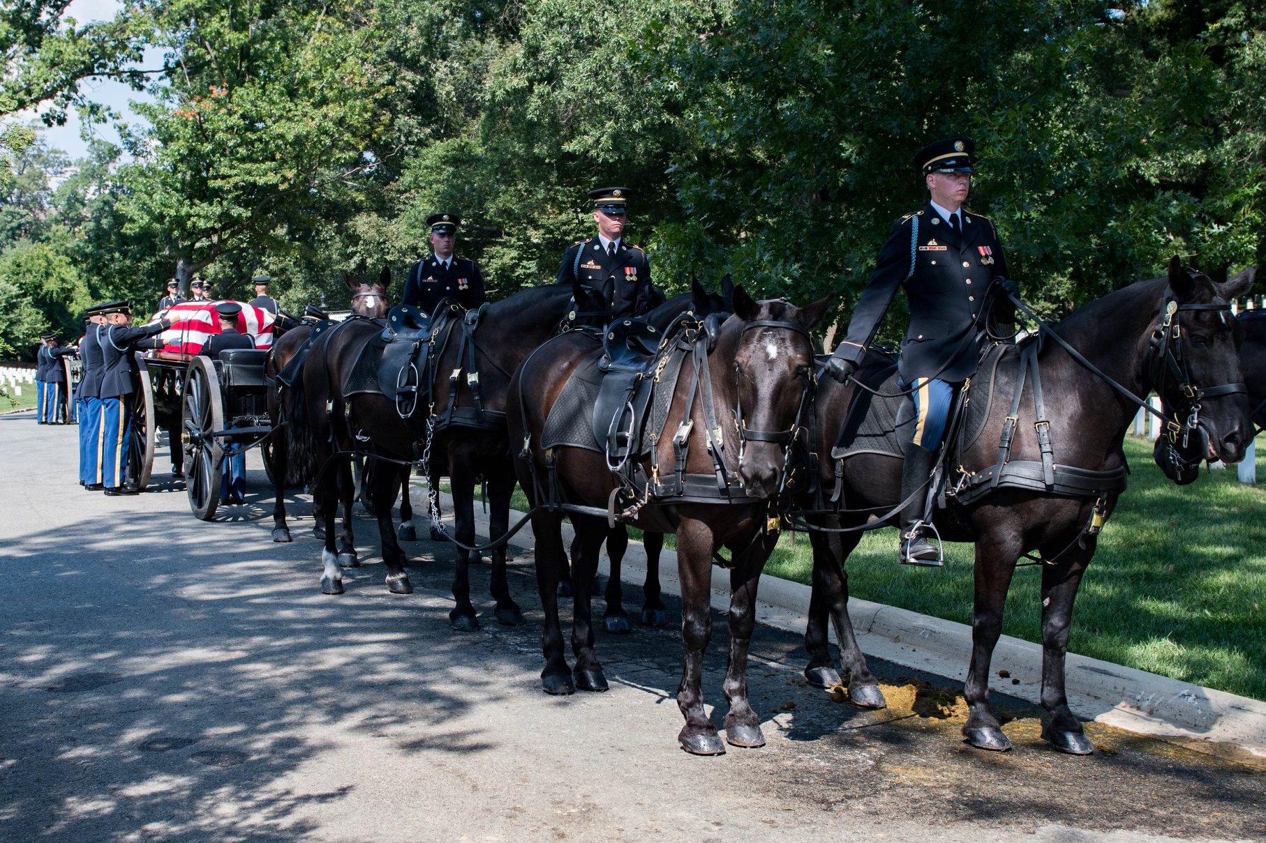3d - Soldiers of the U.S. Army Caisson Platoon, 3d U.S. Infantry ...