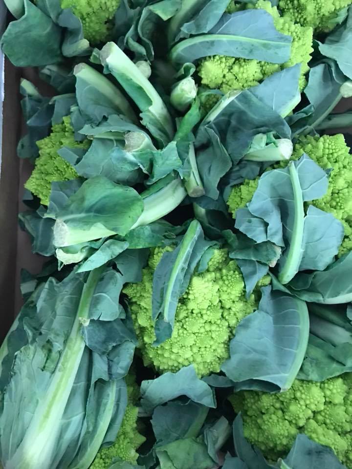 Total Produce West Sligo