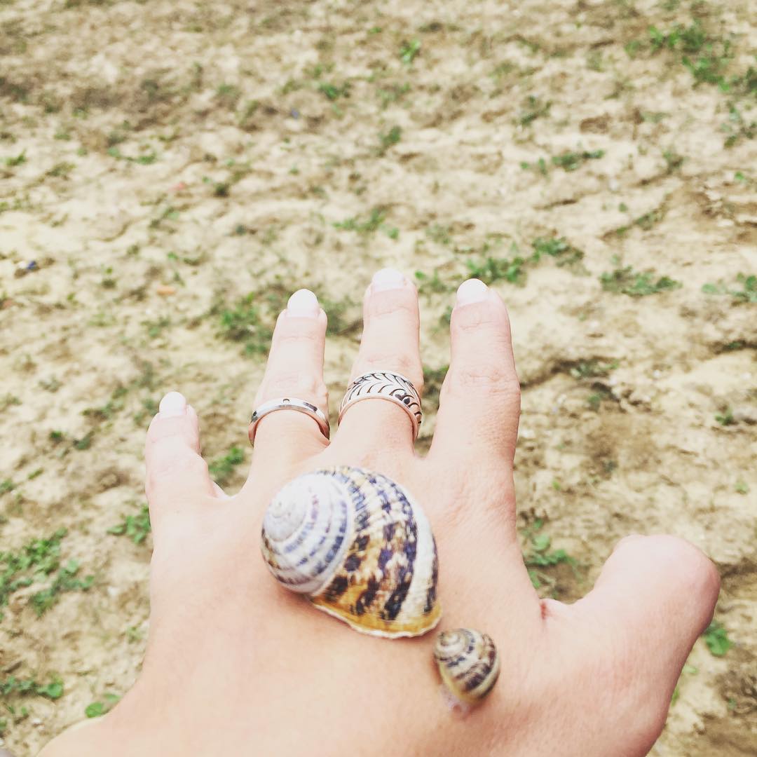 Lumaca Online-Helix &... - Lumaca Online-Helix & Snails