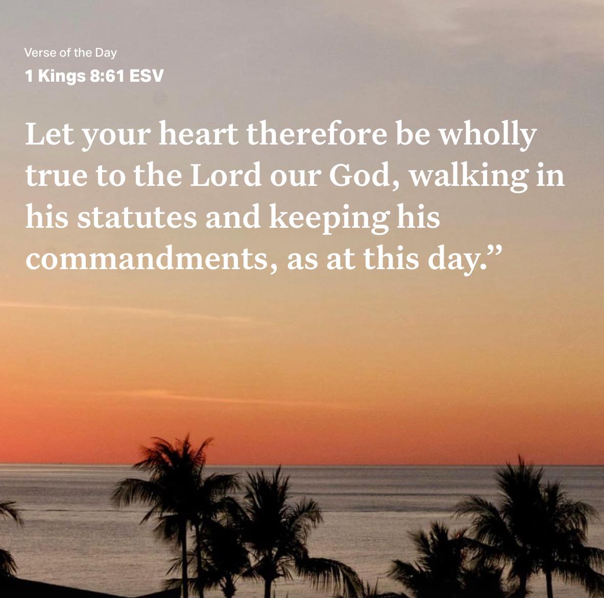 Friends Who Like The Lutheran Church—Missouri Synod | December 29 ...