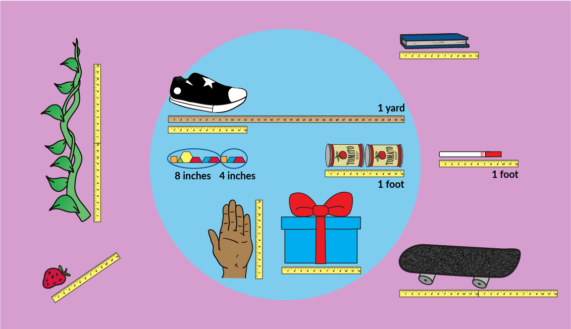 The Math - Grade 2 Guess My Rule: Inches, Feet & Yards! Some things ...