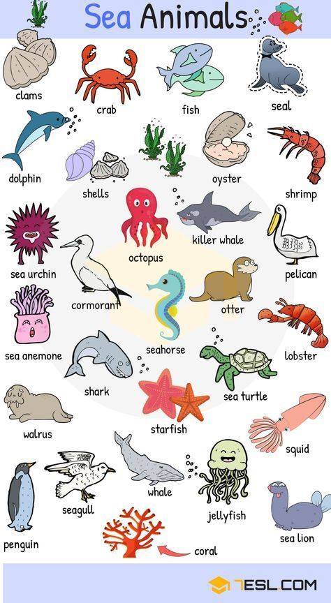 Activities - คำศัพท์เกี่ยวกับสัตว์ Credit: https://7esl.com/english ...