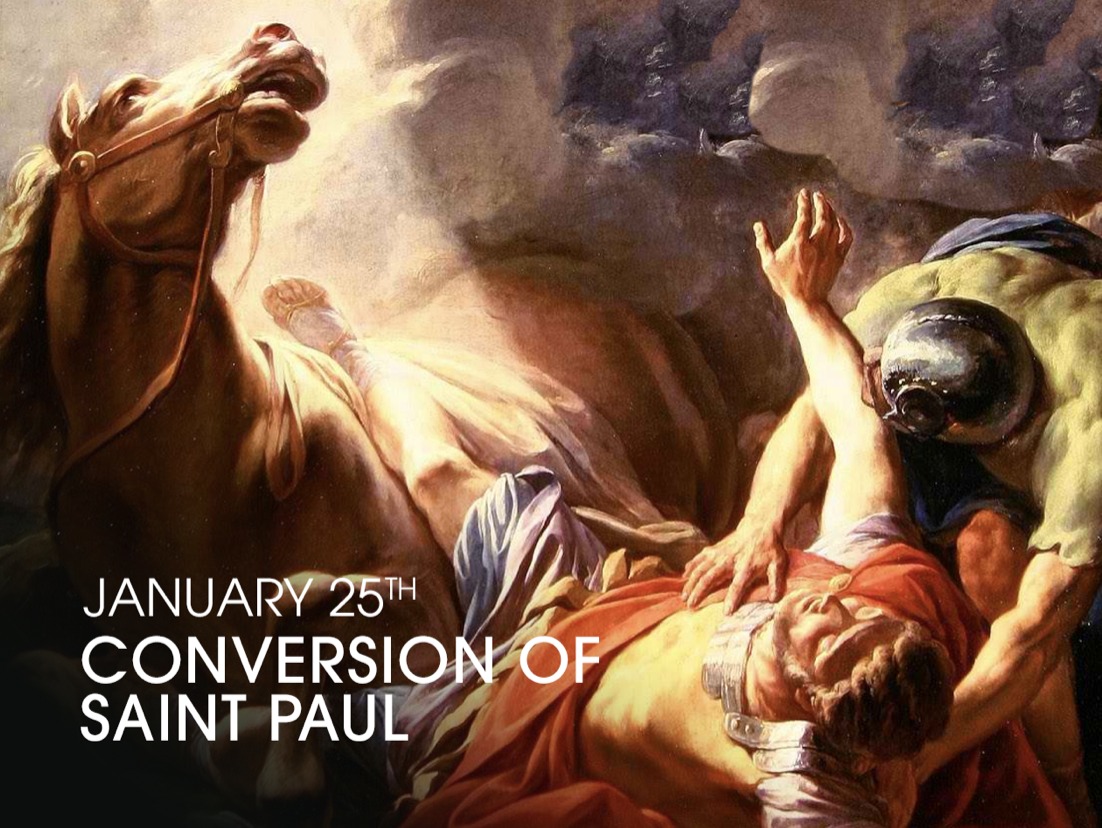 DAILY FEAST: The... - Roman Catholic Diocese of Lake Charles