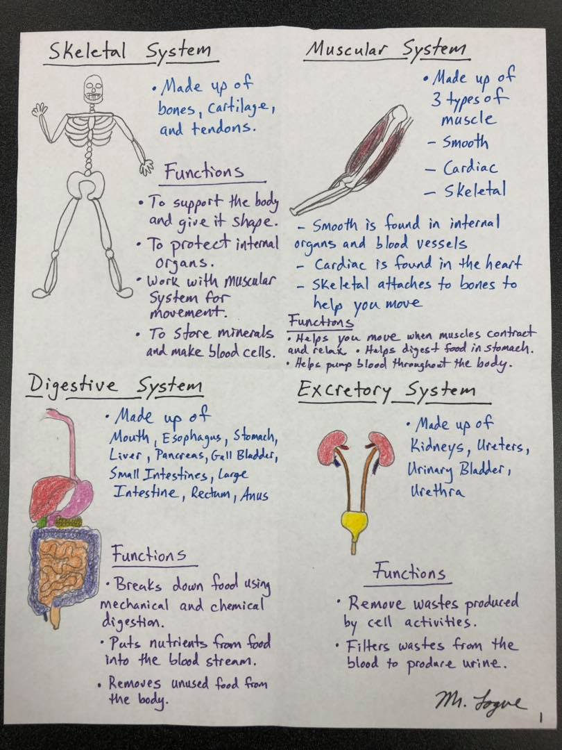Human Body Systems... - Mr. Logue's Middle School Science Lab
