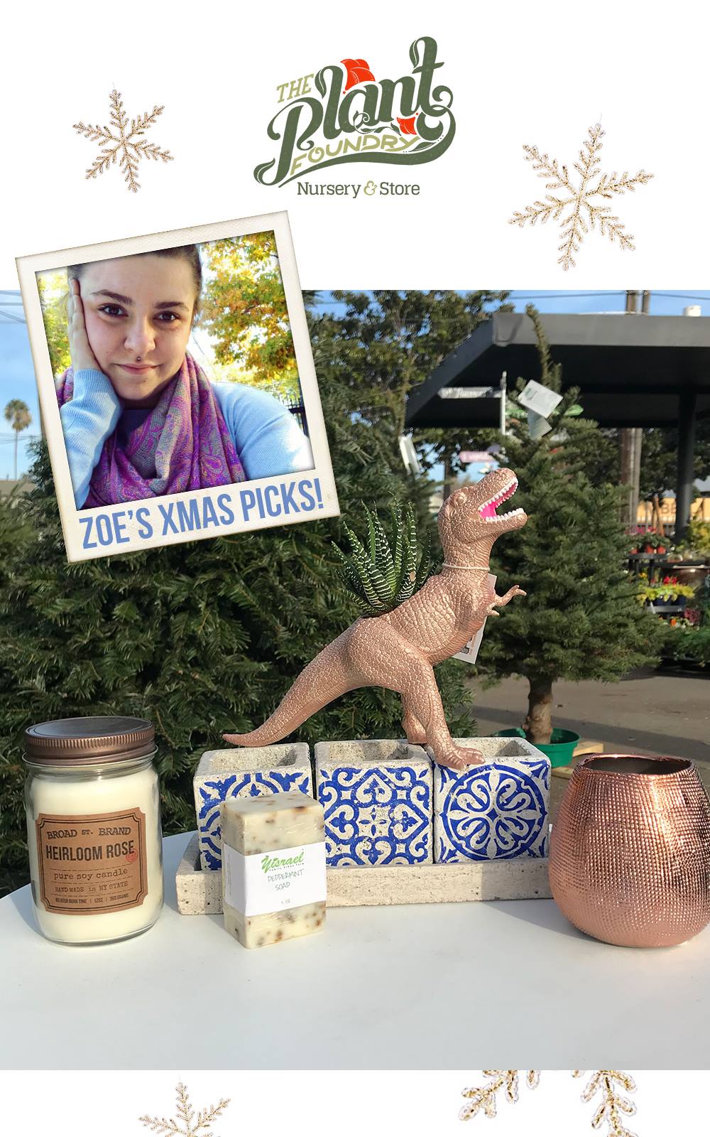 Zoes Xmas Picks Zoe Has Plant Foundry Nursery And Store