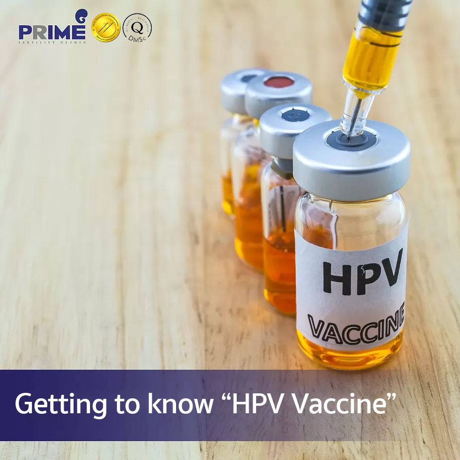 Getting To Know “hpv Prime Fertility Center Thailand 4751