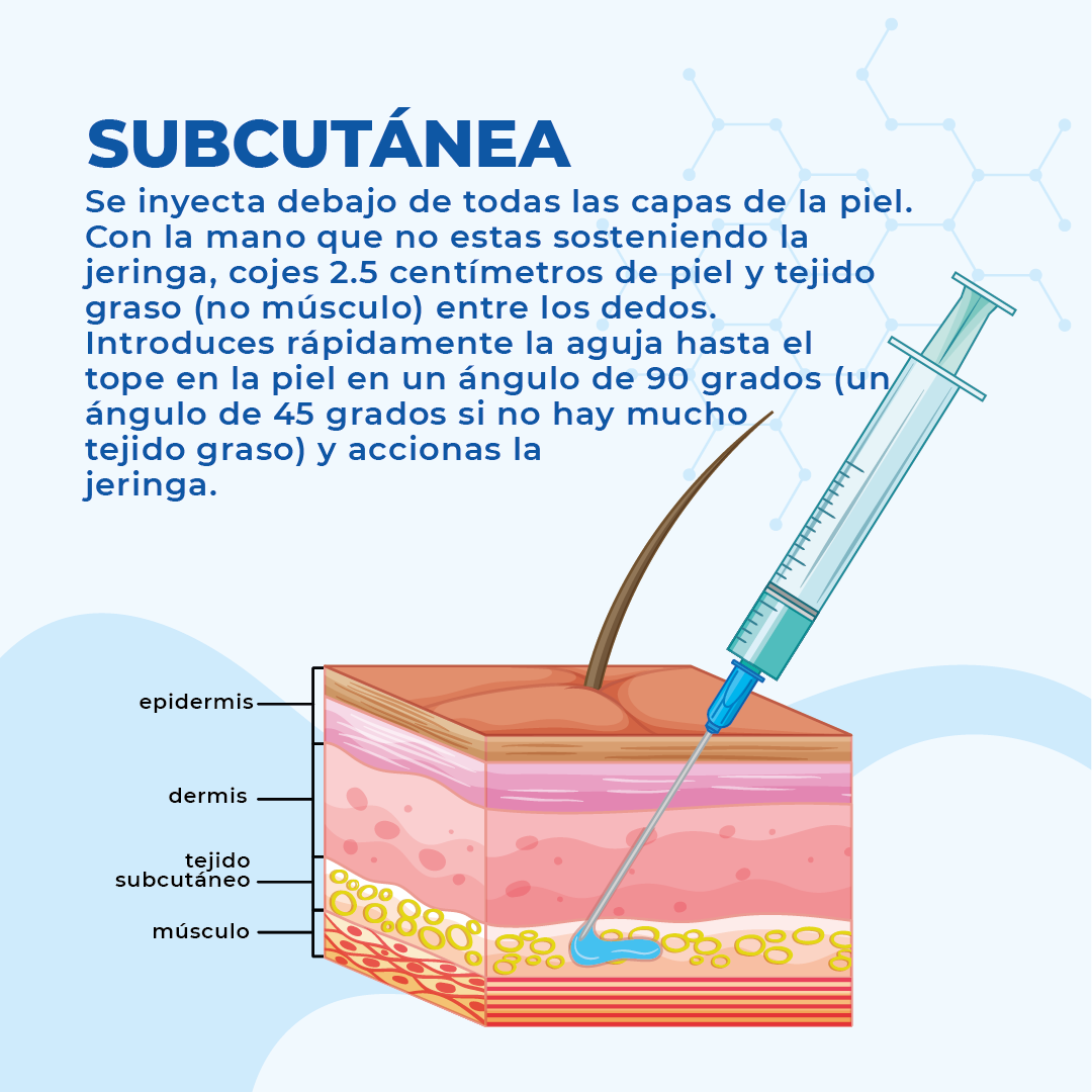 Conoce Los Tipos De Aplicación De Inmunoglobulina Humana Normal 1713