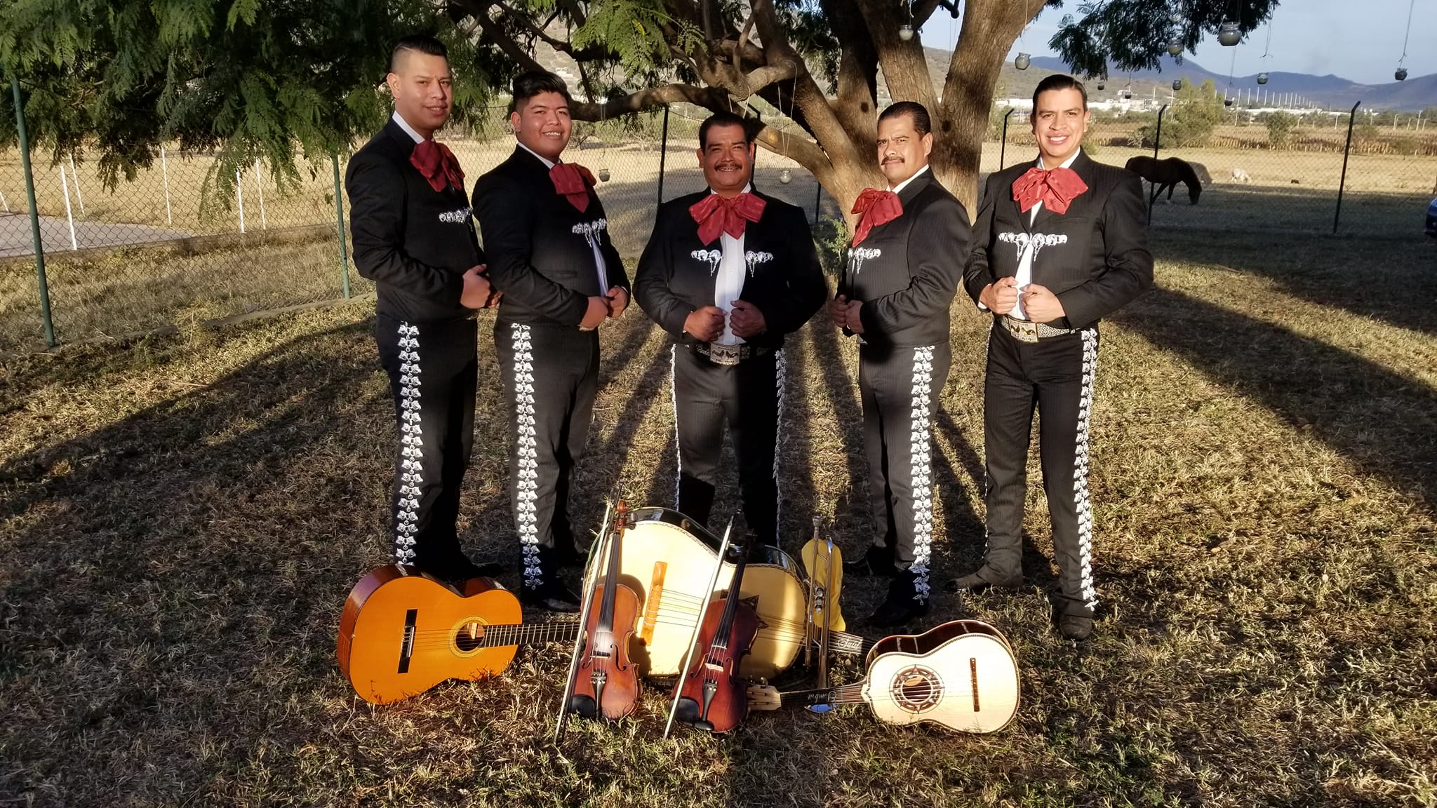 Mariachi Gallos De Oro Gdl