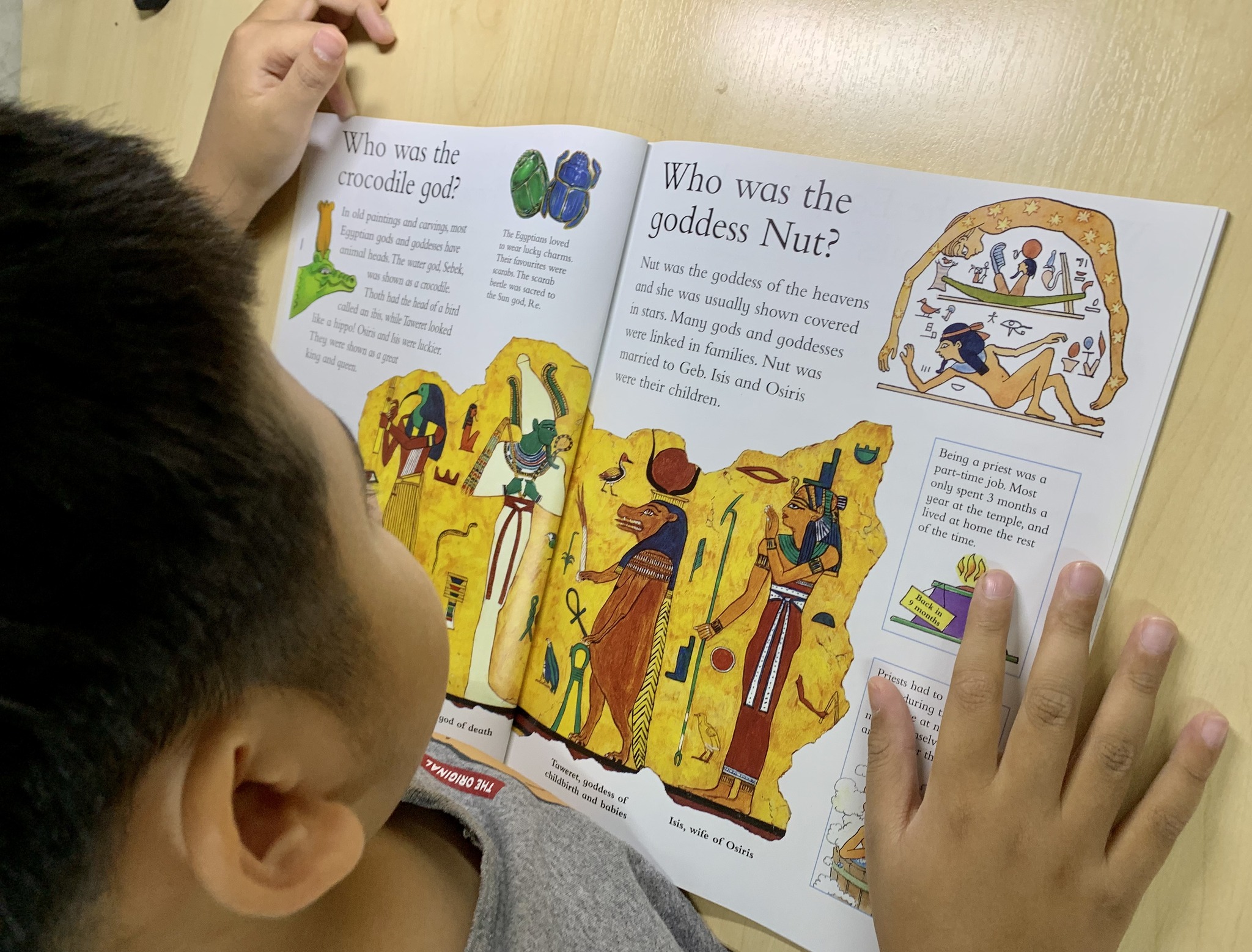 ความรู้ทั่วไ... - The Kinesthetic Learner - Homeschool โฮมสคูล