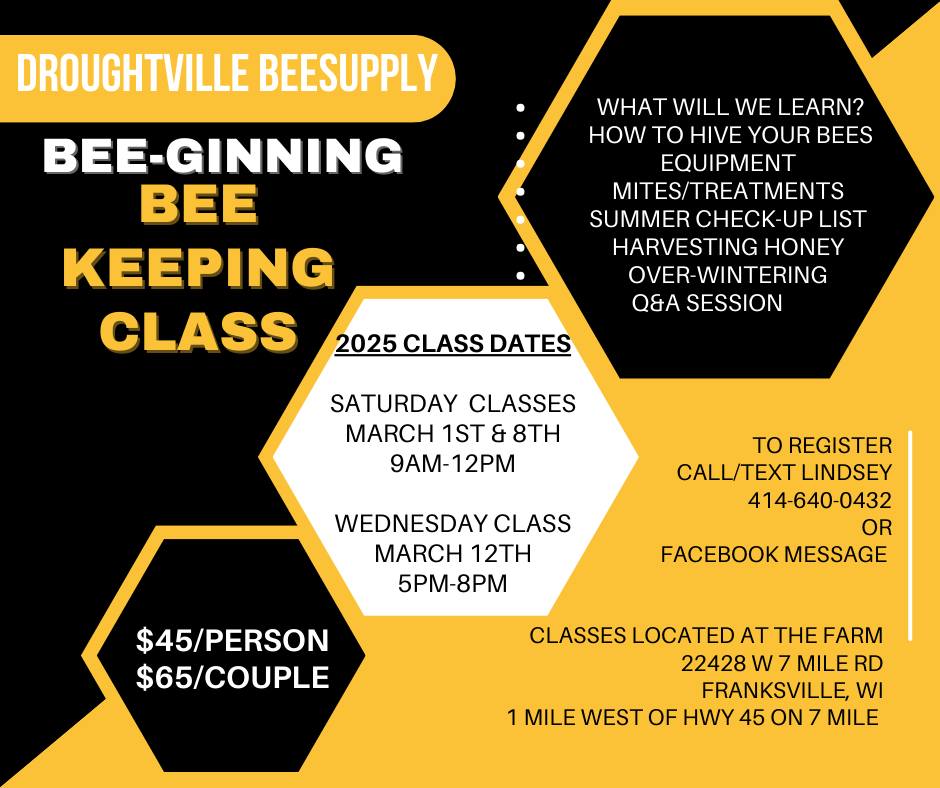 Beeginning Bee Class 0785