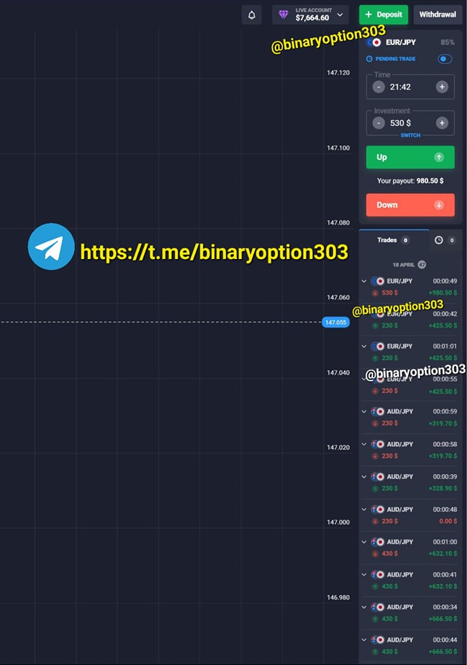 Binary Forex Trader 6981