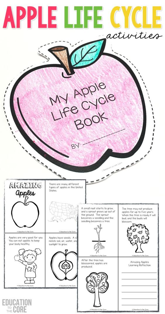 Education to the Core - This Apple Life Cycle Unit includes close ...