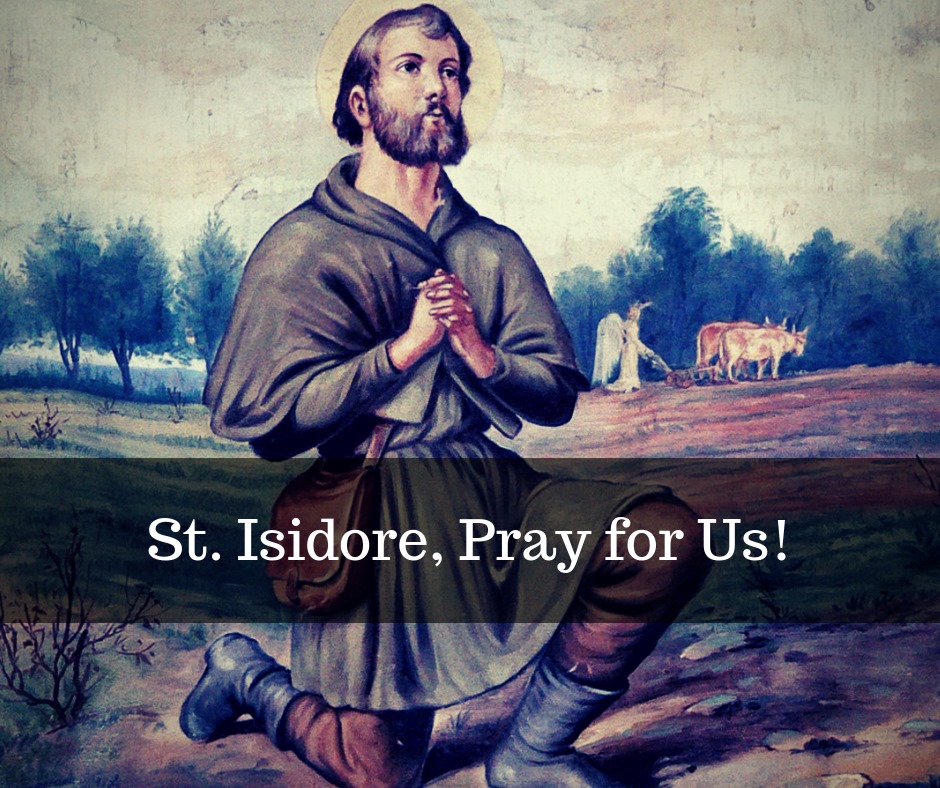 Happy Feast Of St Minnesota Catholic Conference Facebook