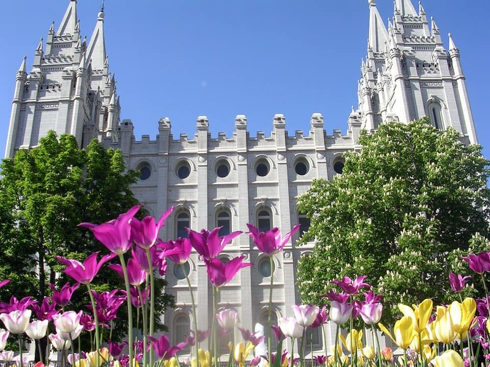 Missionary Mommas