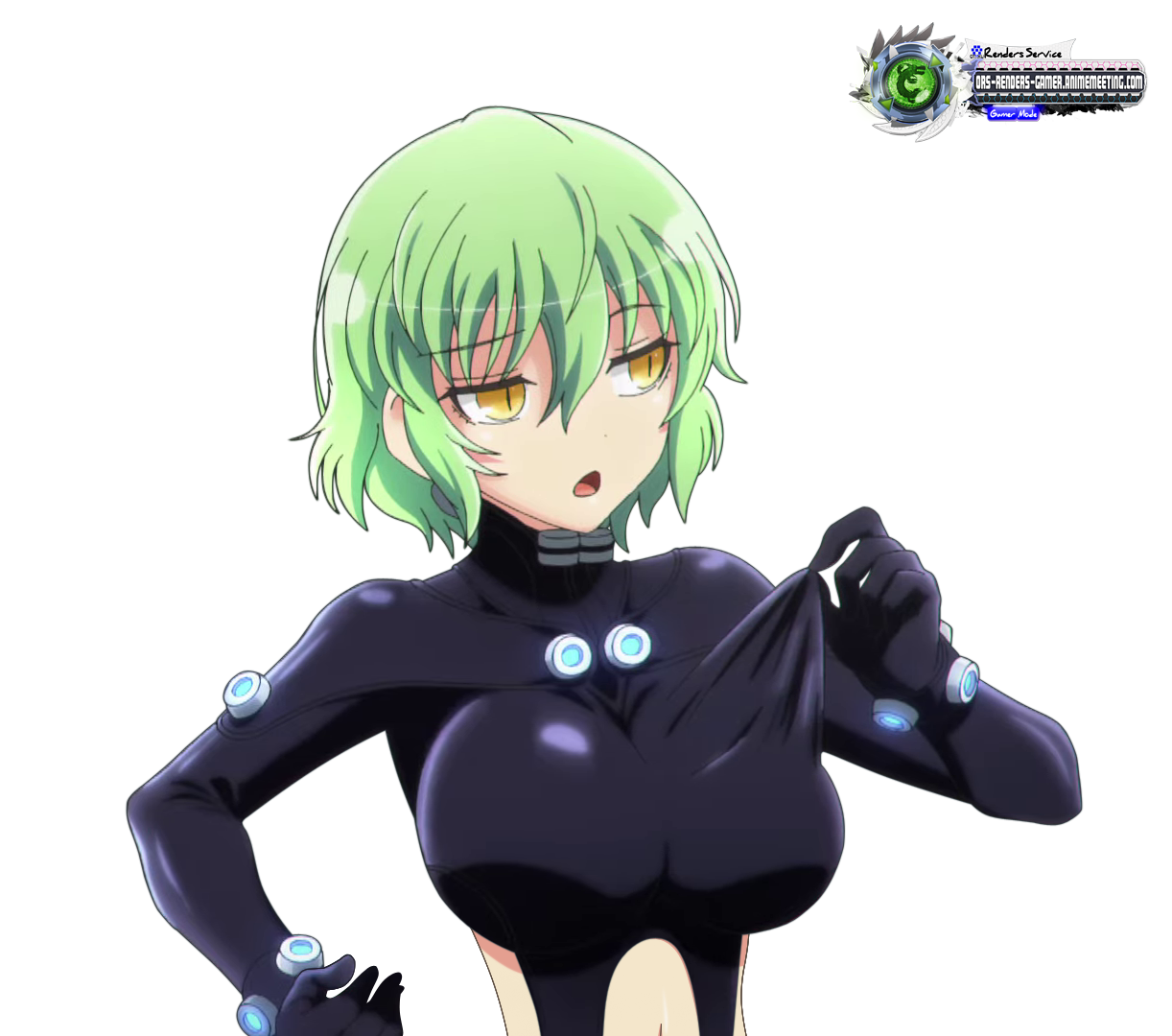 Senran Kagurahikage Hyper Deadly Sexy Ors Anime Renders Facebook 6309