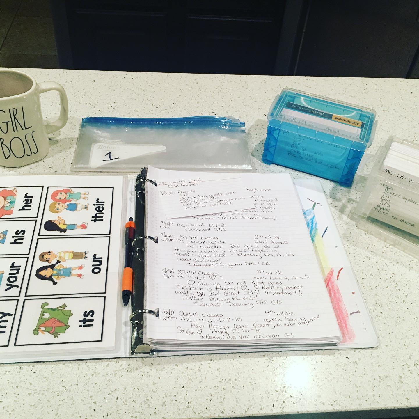 Day 22 #vipphotochallenge #organization I use a binder to keep notes on ...
