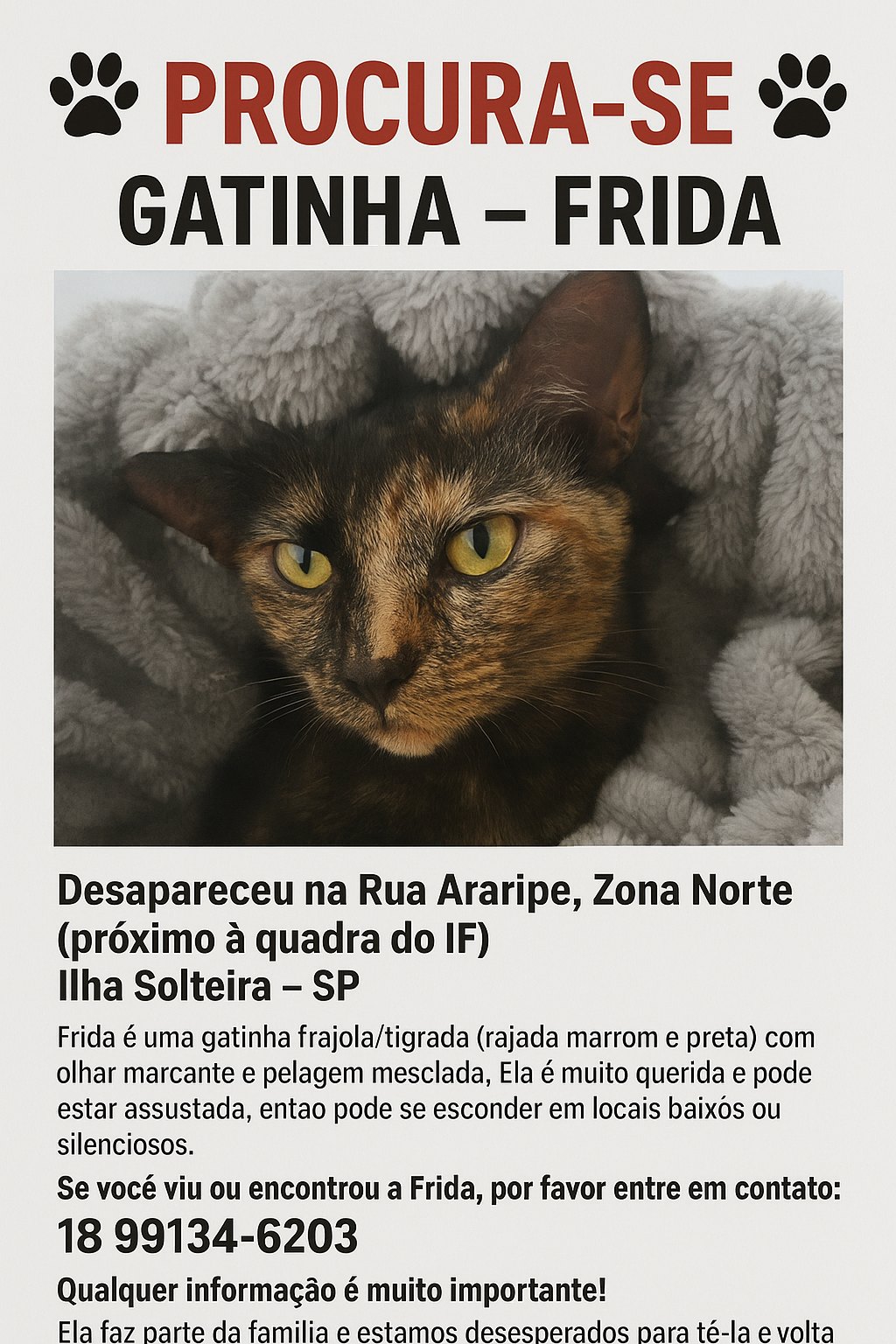 Animais Desaparecidos Ilha Solteira Pessoal A Frida Continua