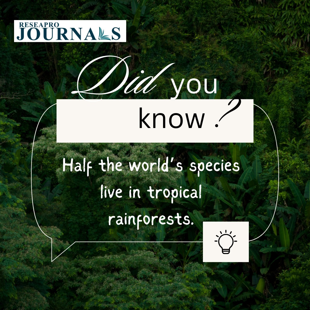 Journal - Explore the innermost parts of a tropical rainforest! With ...