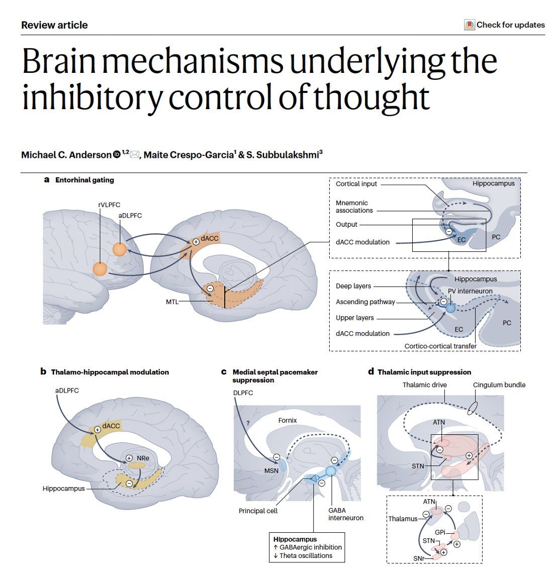 Anthony - The brain has a built-in mental brake system that can stop ...