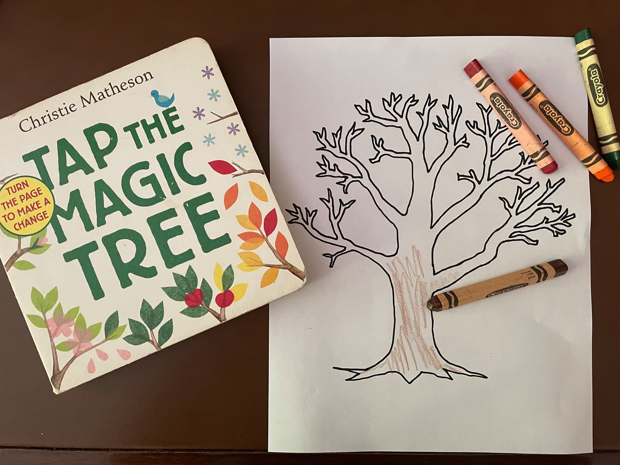 Kenzie Davis Speech Therapy | Brooklyn NY