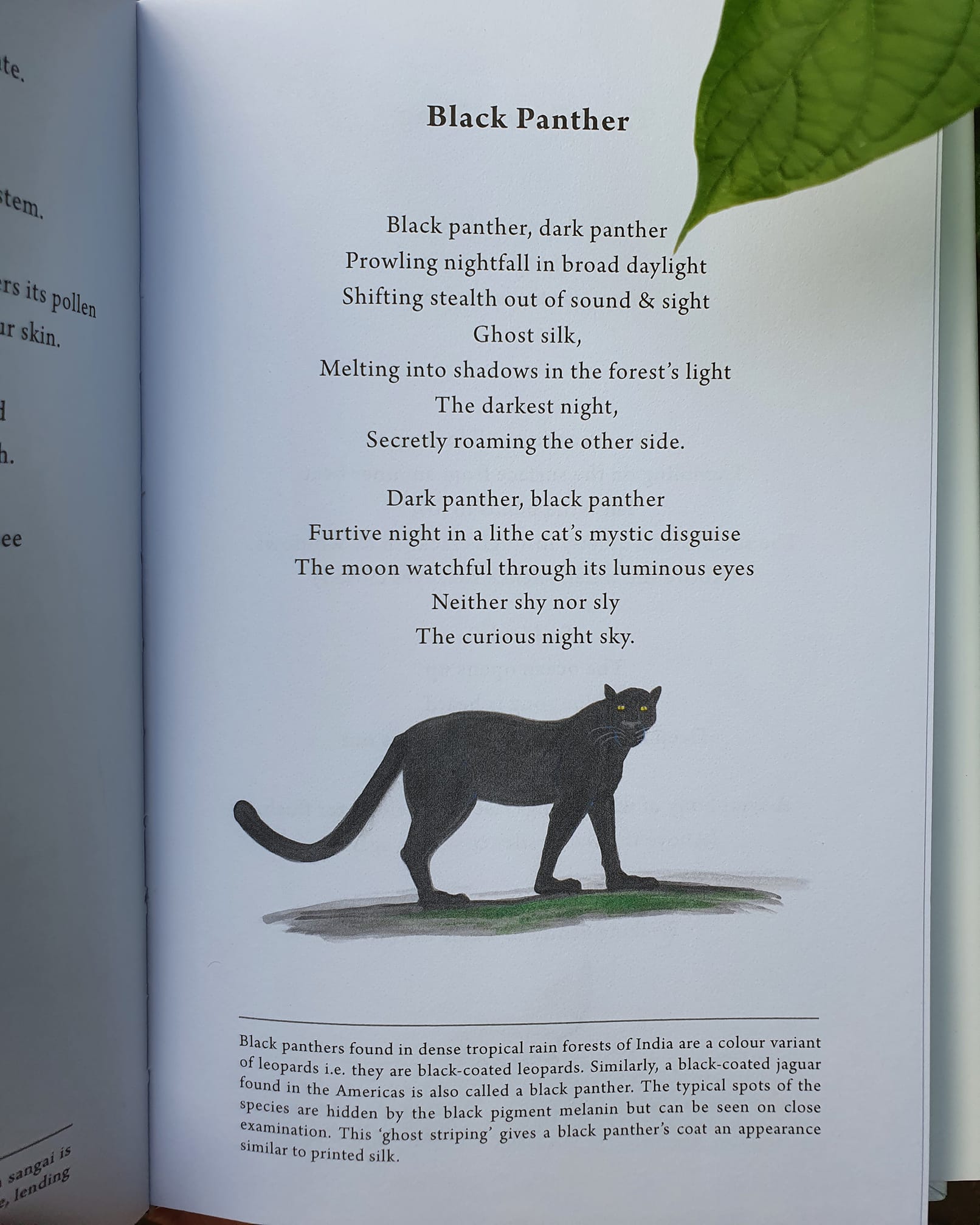 Tara - This poem is from my book 'Barefoot in the wild', a collection ...