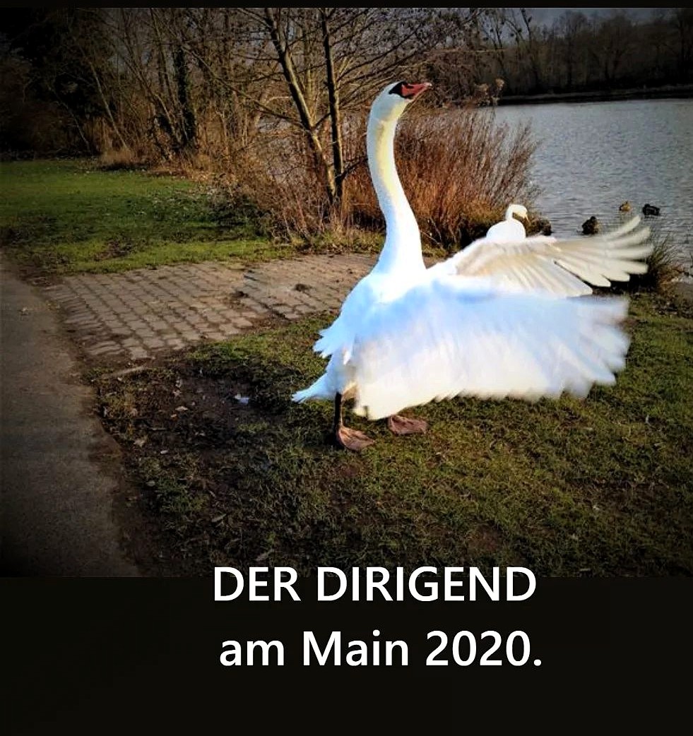 Du Lebst Schon Lange In Bunde Wenn