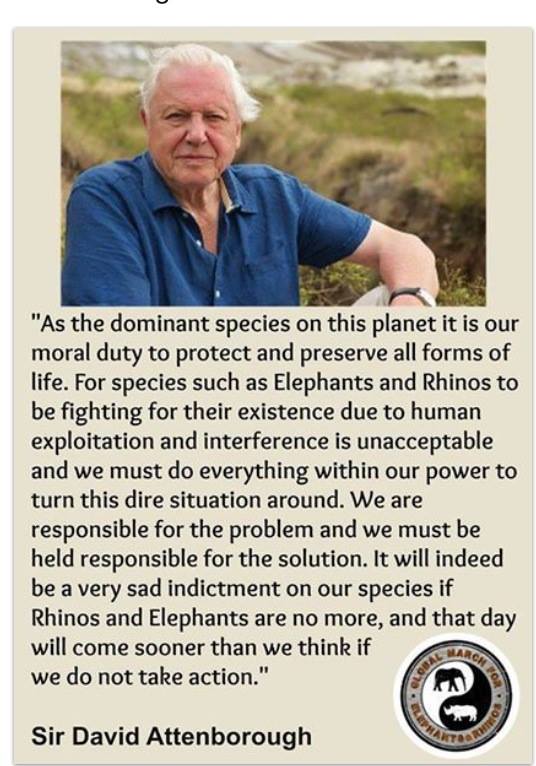 Happy Birthday David Attenborough 94 Roar Wildlife News Facebook