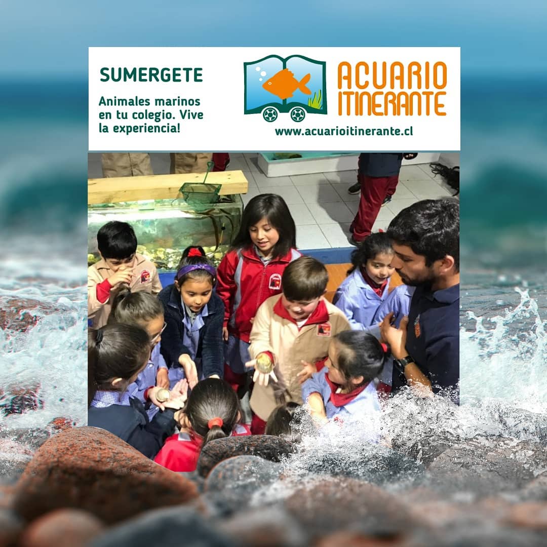 Página: Acuario Itinerante