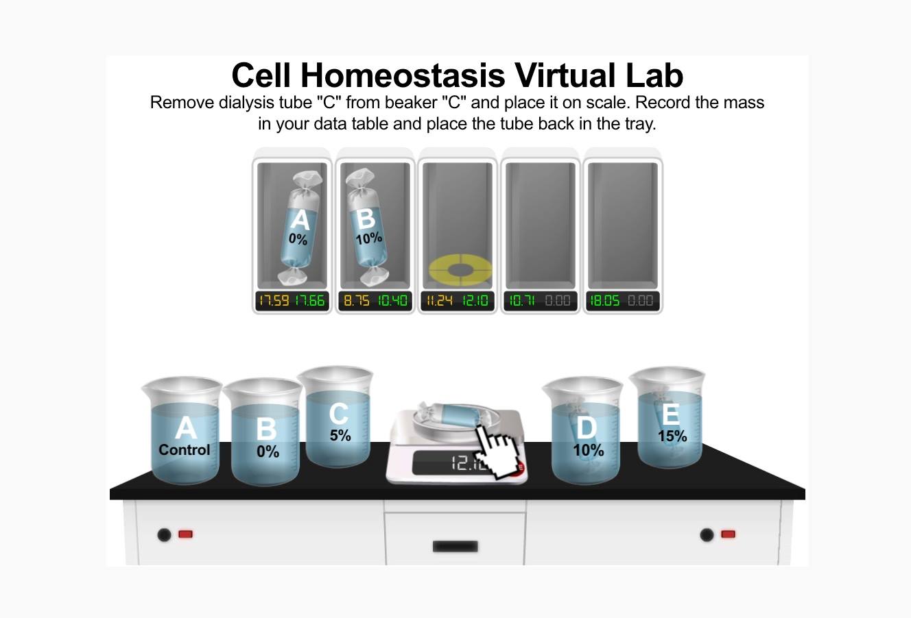 Science Island - This virtual osmosis lab is seriously...